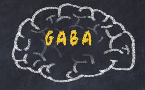GABA（4-氨基丁酸）简介